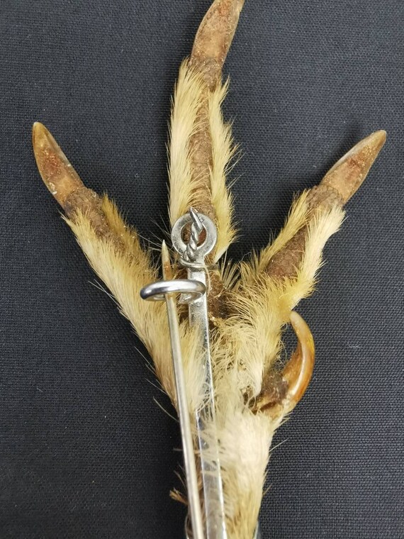 Victorian Edwardian brooch Chicken foot brooch macabr… - Gem