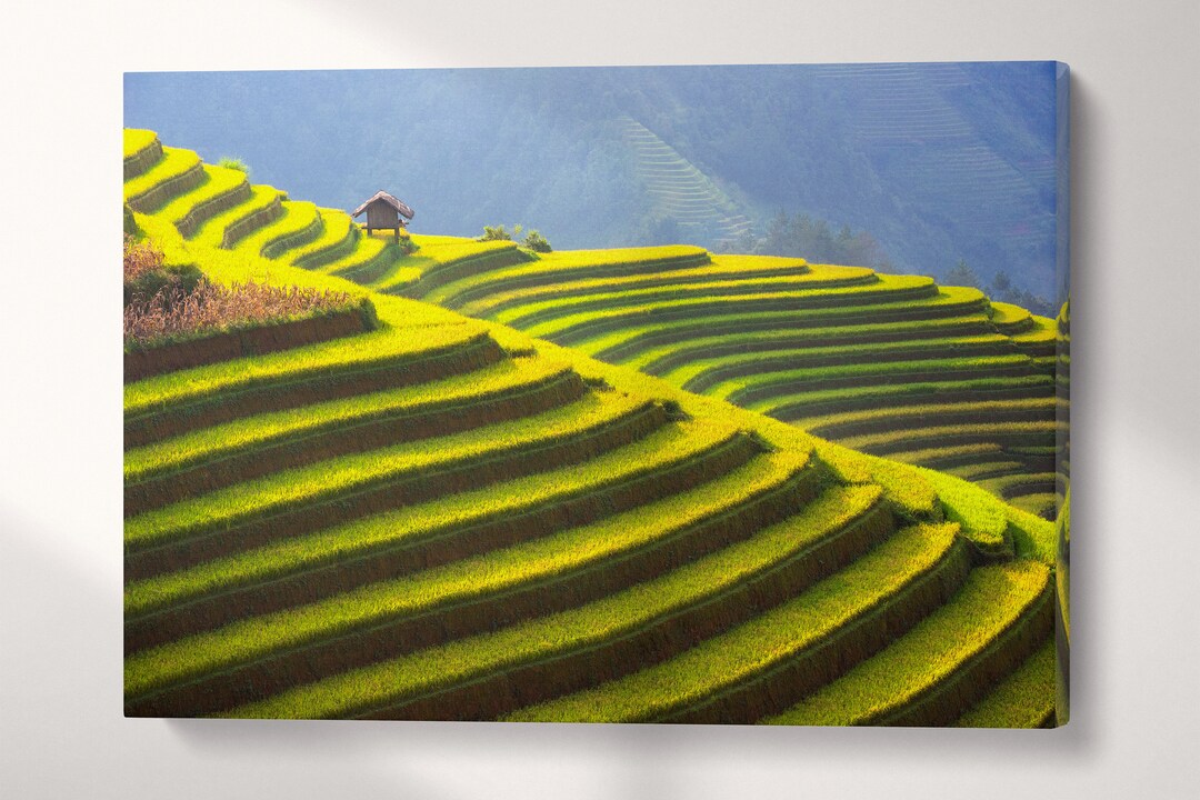 Rice Terrace of Vietnam Landscape Canvas Eco Leather Print, Made in ...