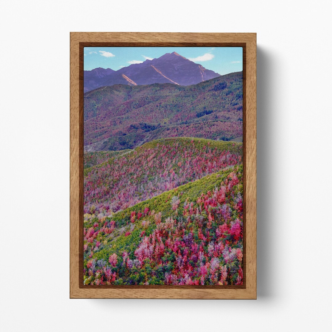 Alpine Loop, Mount Timpanogos, Cascade Springs, North Central Utah Wall ...