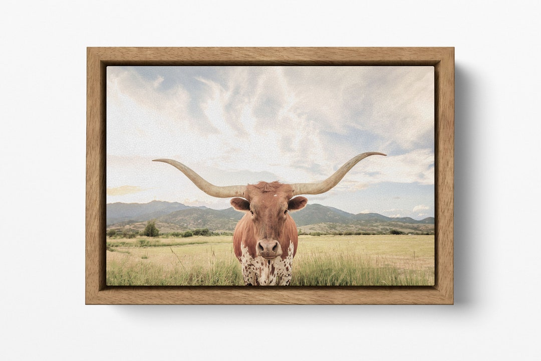 Texas Longhorn Steer Eco Leather Canvas Print Cowboy Gift - Etsy