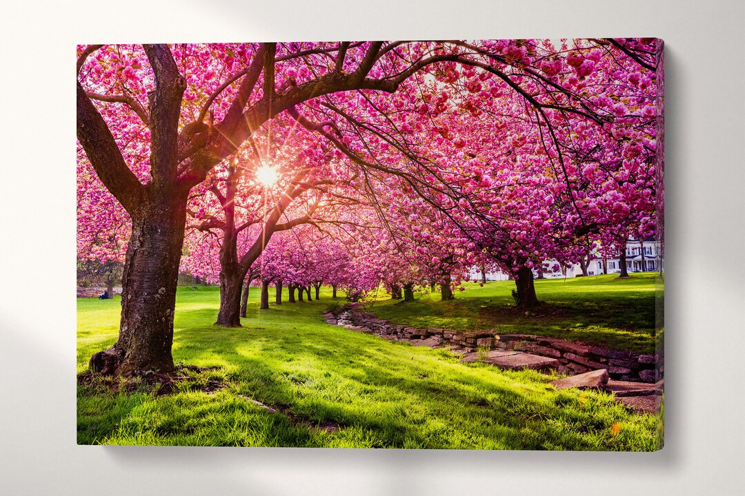 Cherry Tree Blossom Canvas Eco Leather Print, Made in Italy - Etsy
