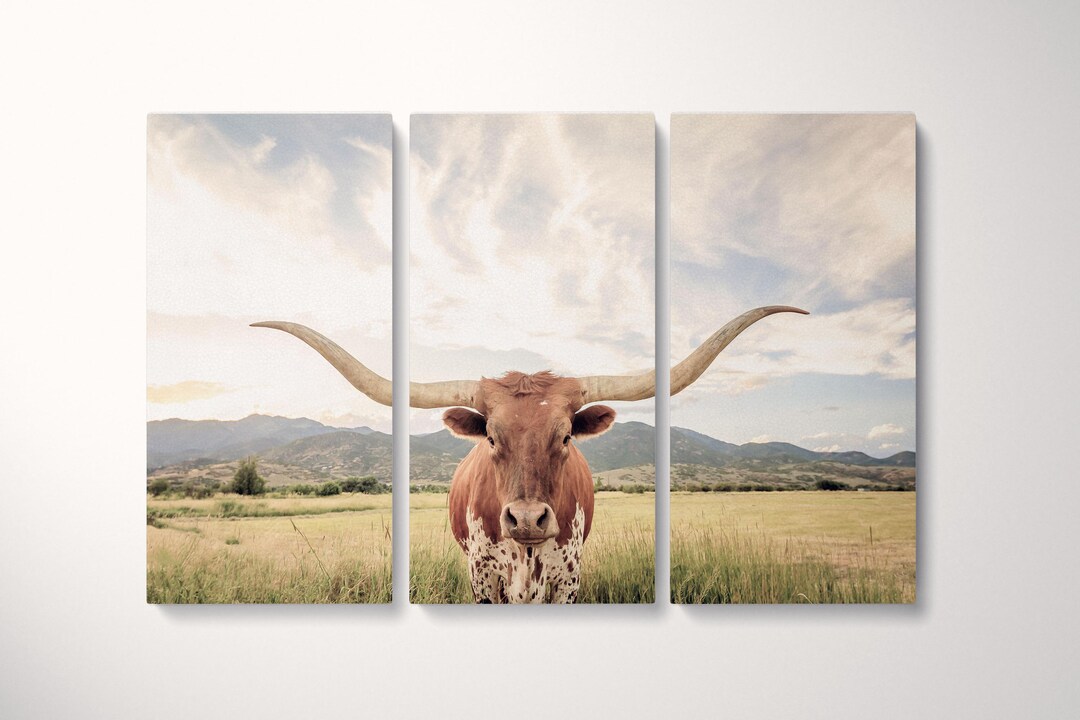 Texas Longhorn Steer Soft Tones Triptych Canvas Eco Leather Print ...