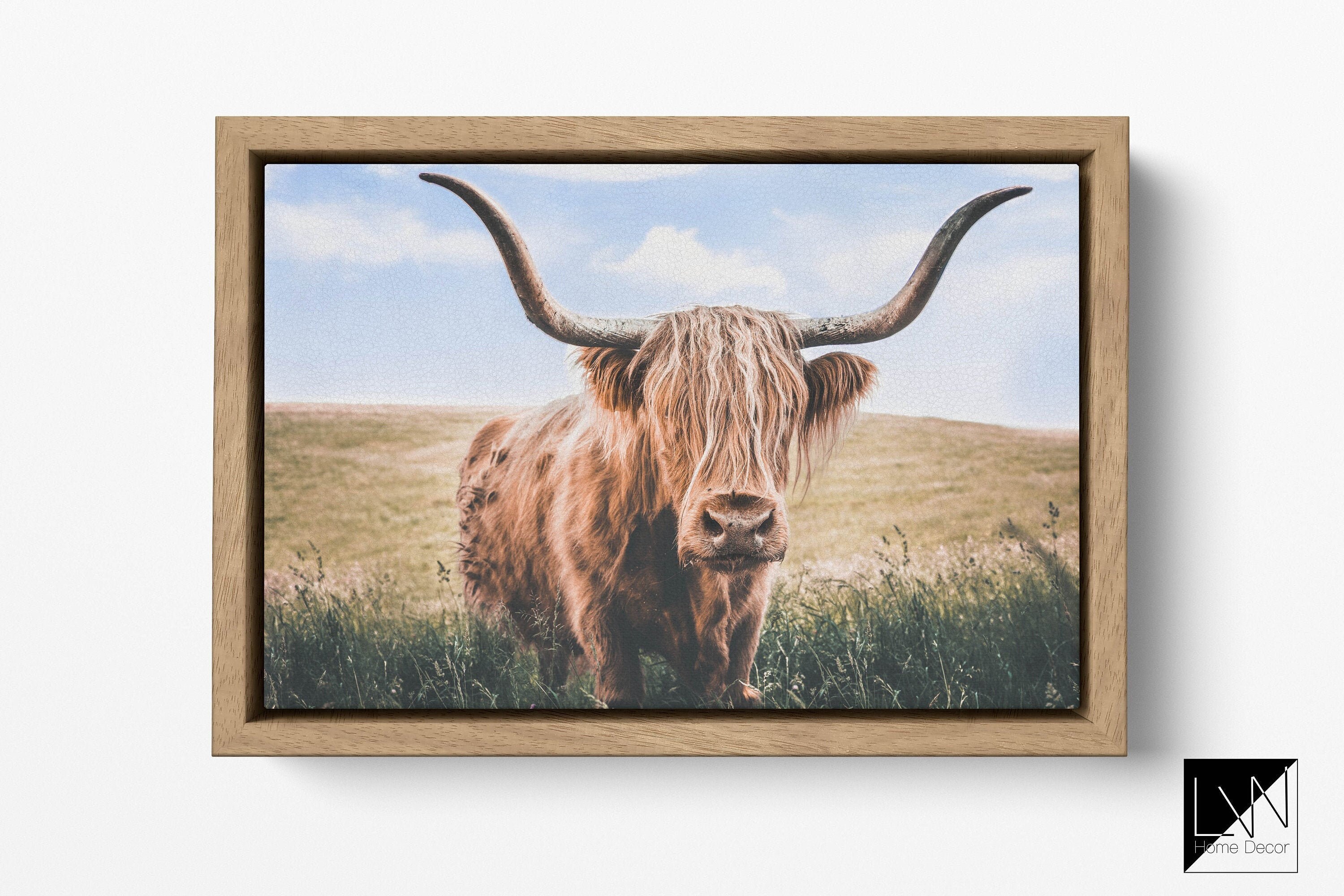 Close up brown highland cow with floating frame canvas leather print ...