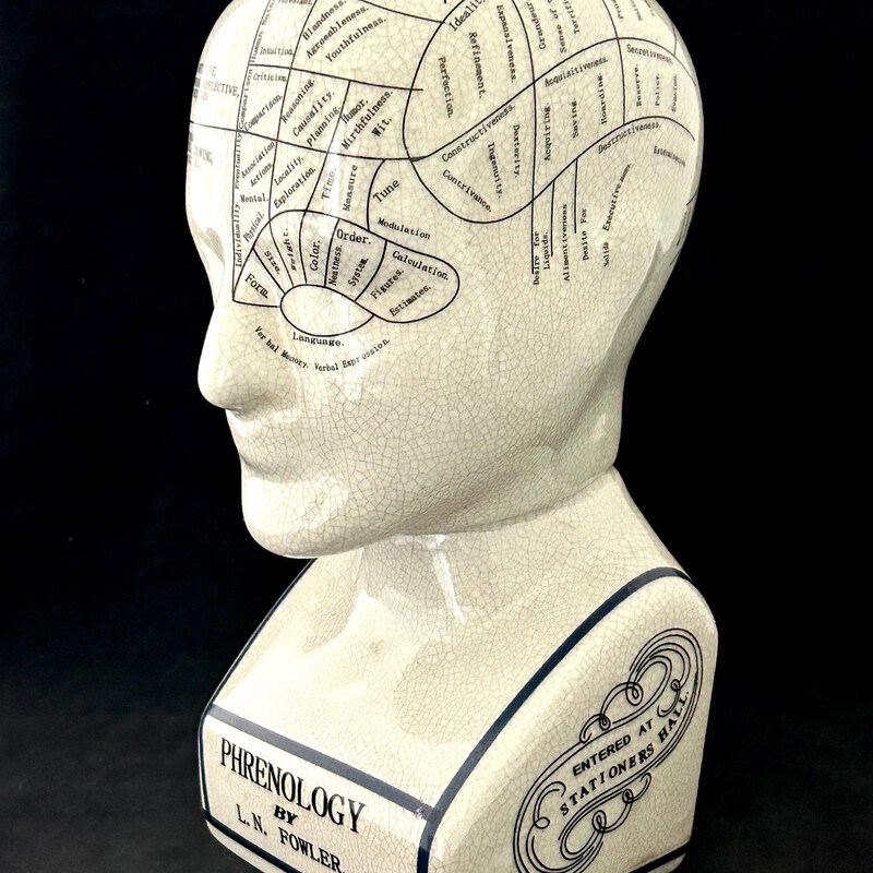 Phrenology Head - Etsy