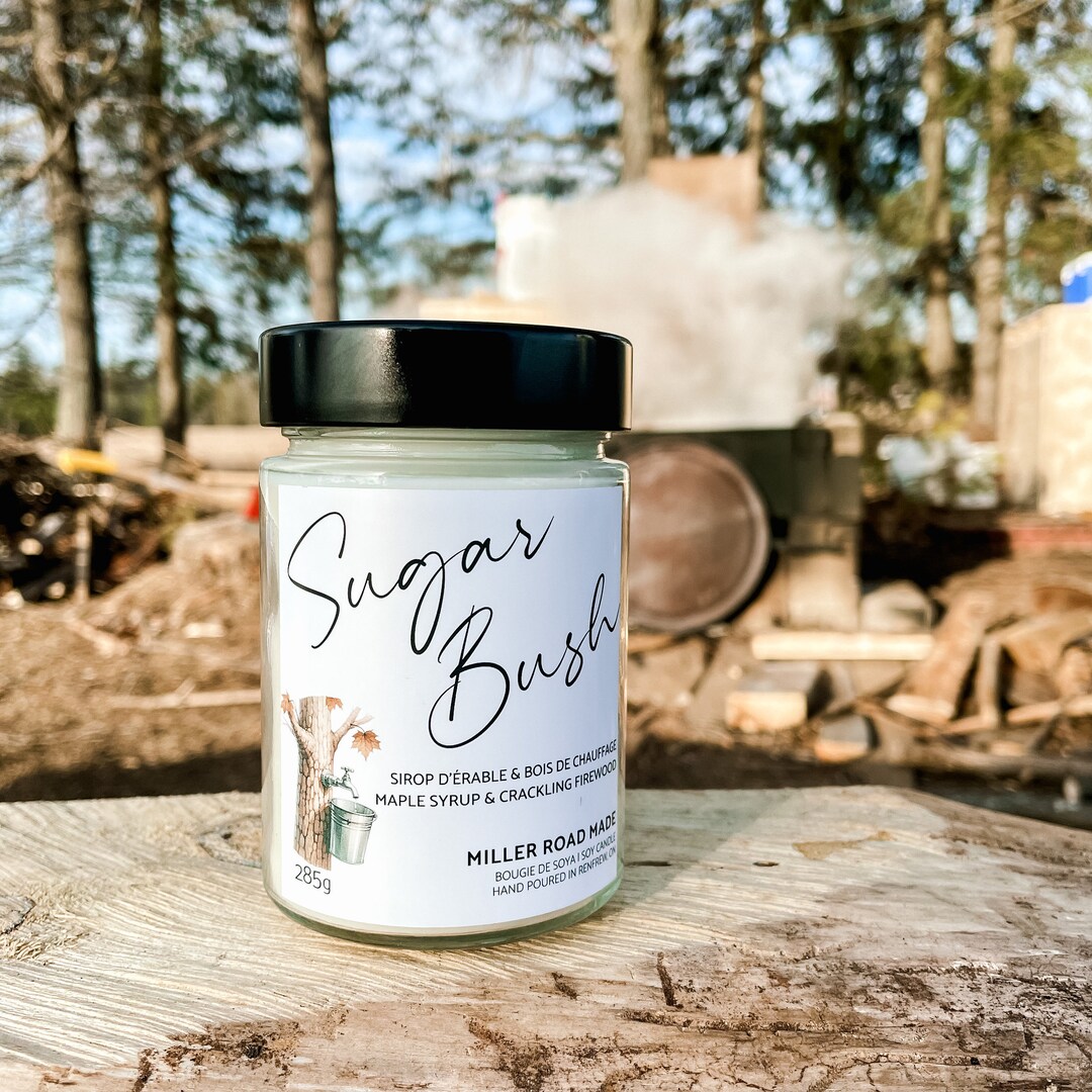 Sugar Bush - Soy Candle | Sweet Spring Candle, Maple Syrup Candle ...
