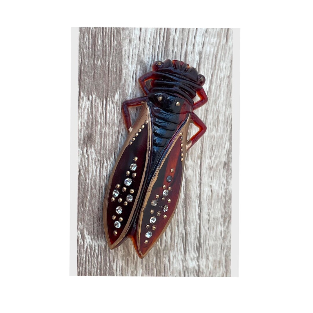 Vintage 1960s French Plastic Celluloid Brown Insect Cicada Brooch With ...