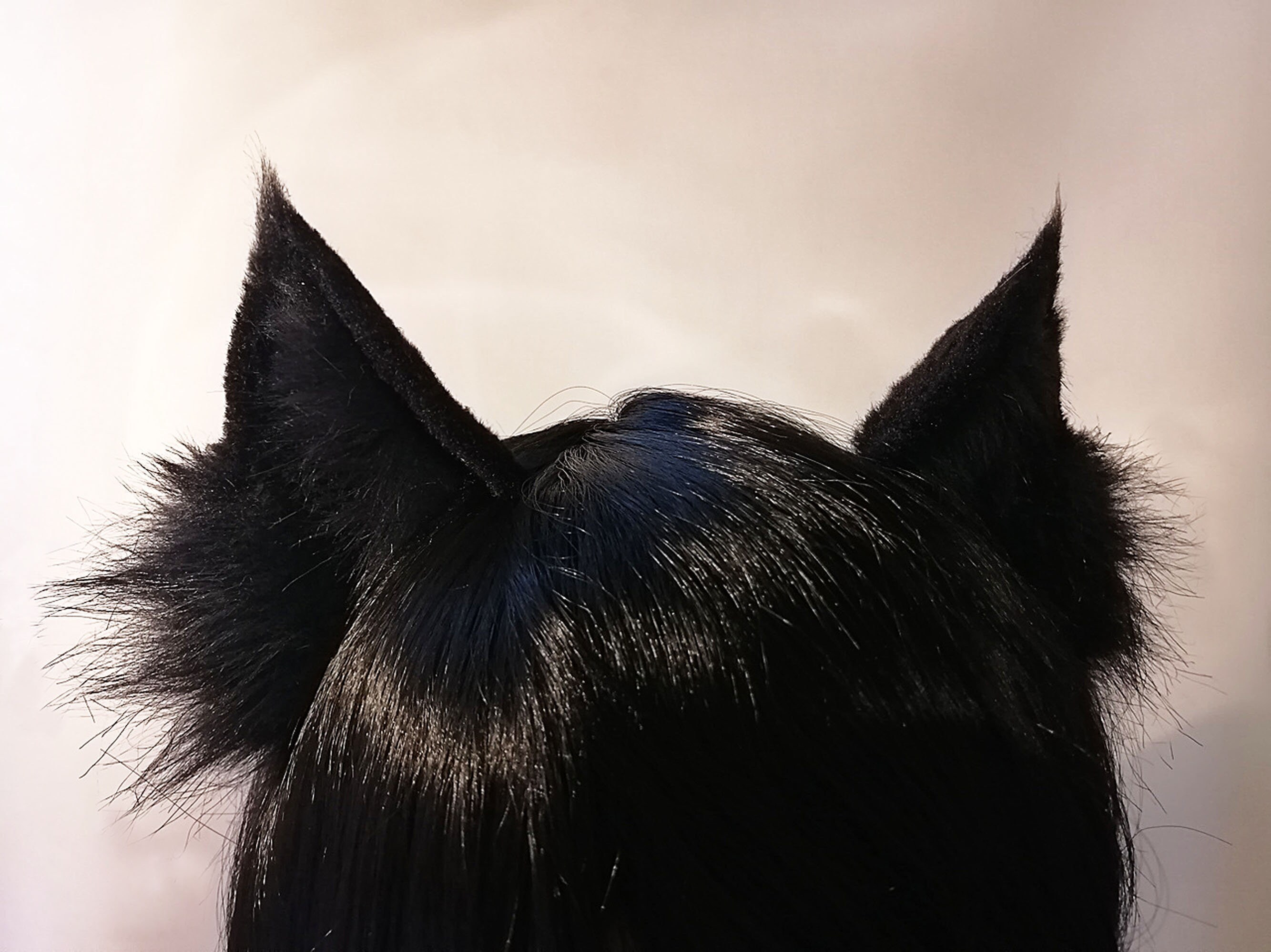 Custom made: white cat ears | Etsy