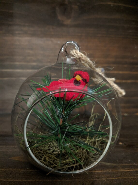 Cardinal Glass Globe | Etsy