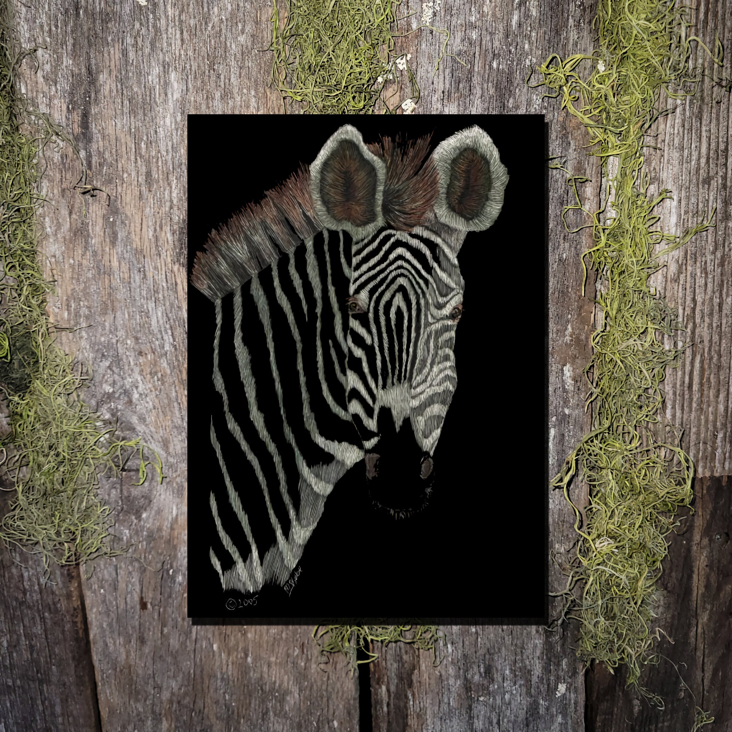 Zebra Print From a Scratchboard Painting by Artist Mary - Etsy