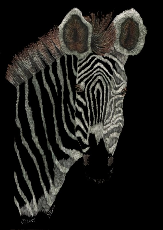 Zebra Print From a Scratchboard Painting by Artist Mary | Etsy