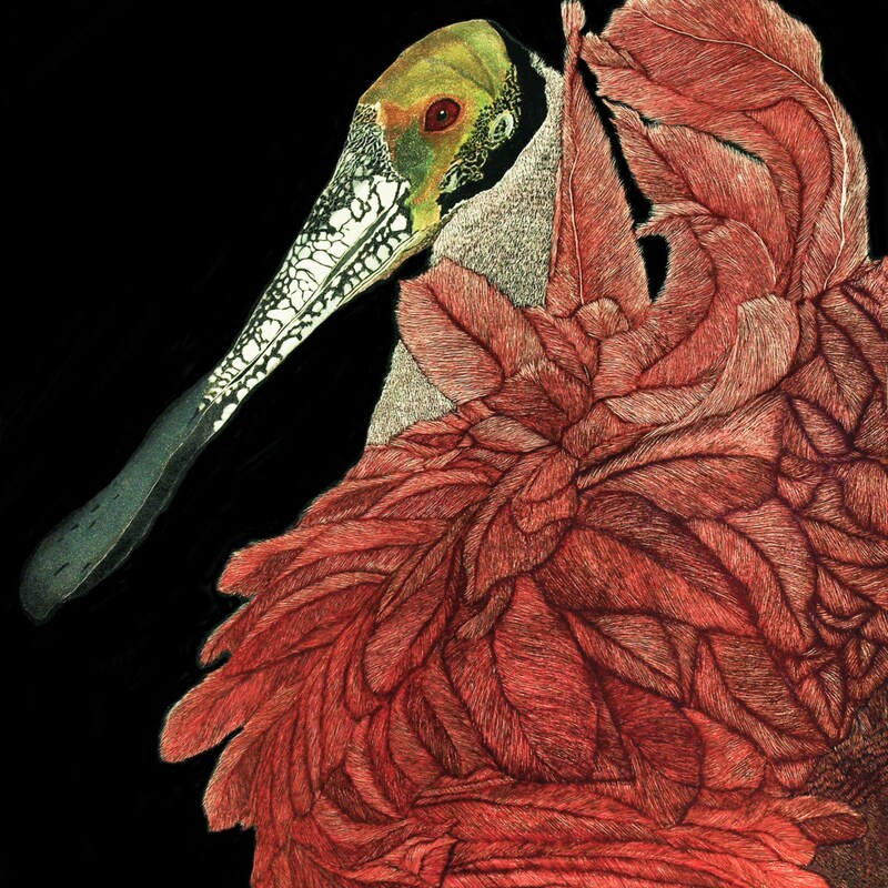 Spoonbill - Etsy