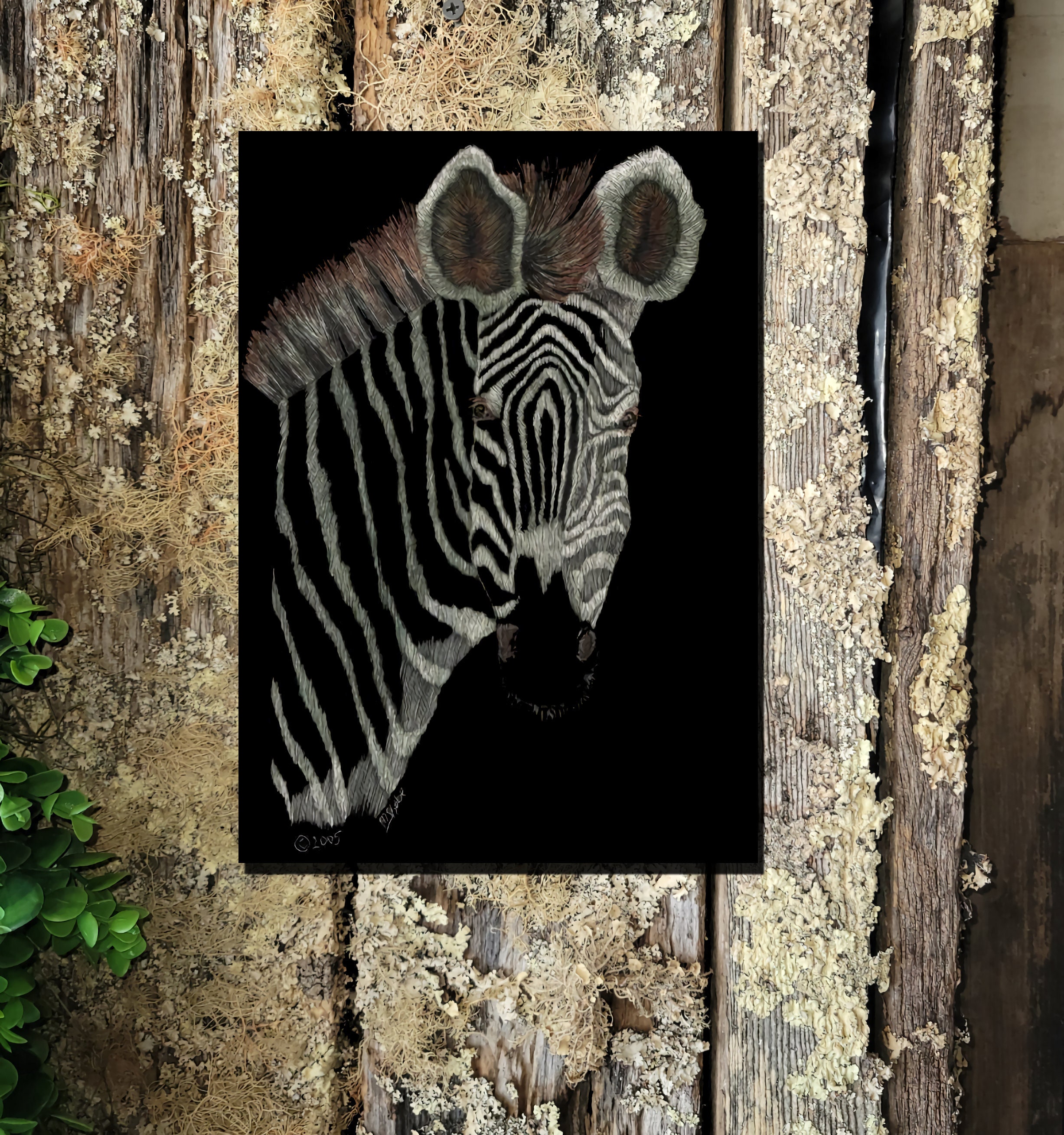 Zebra Print From a Scratchboard Painting by Artist Mary - Etsy