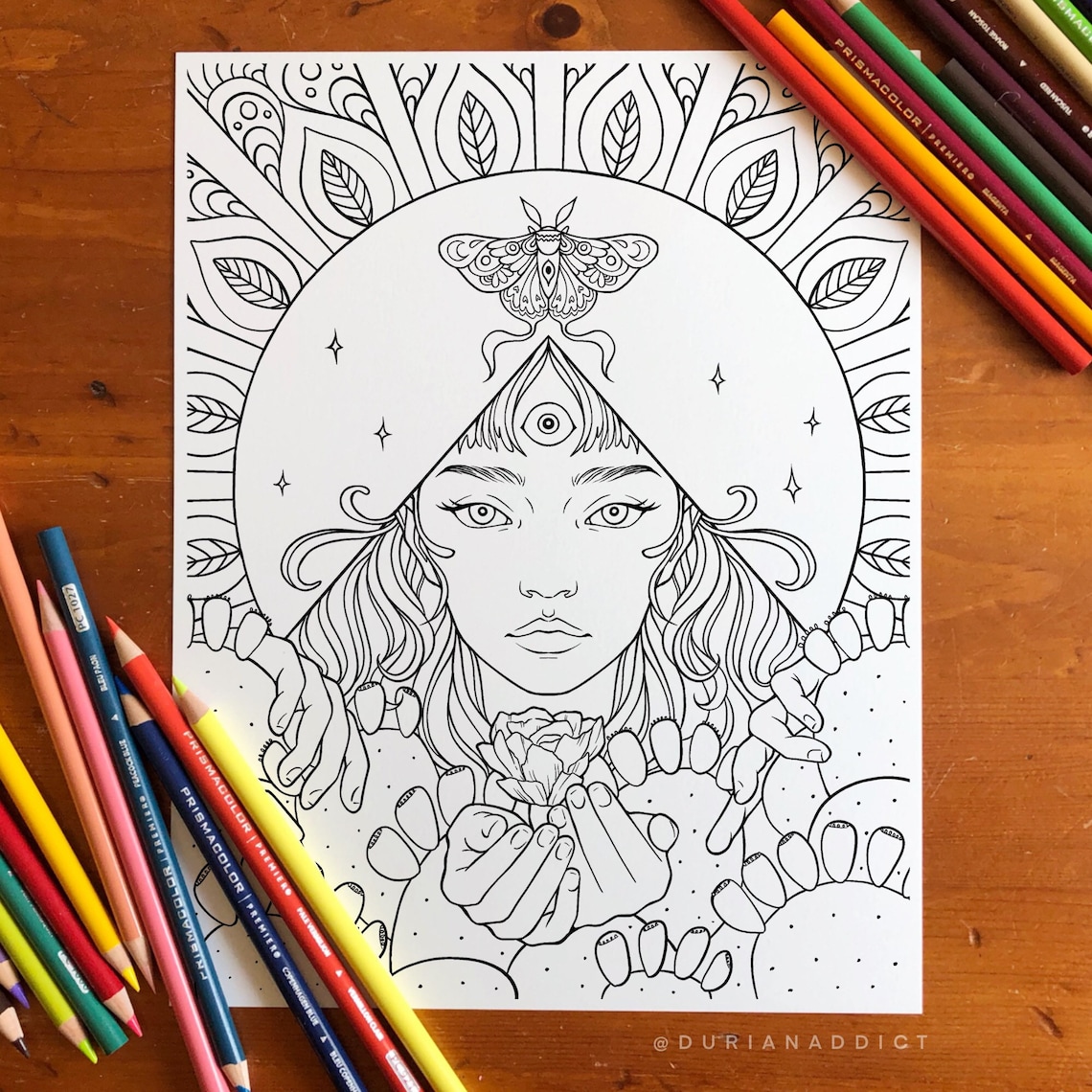 Printable Digital Adult Coloring Page Print at Home Digital - Etsy