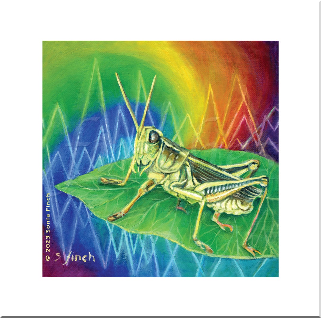Spirit of Grasshopper Blank Thank You Card. Native Spirit Totem Message ...
