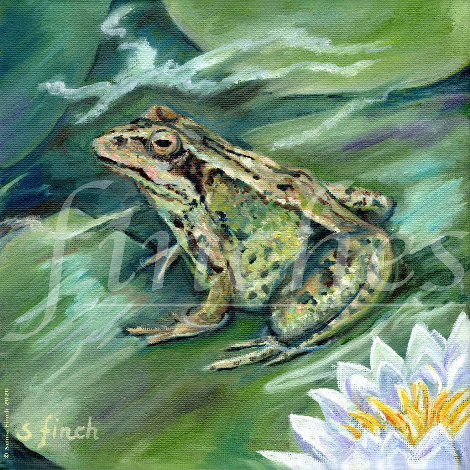 Frog Oil Painting