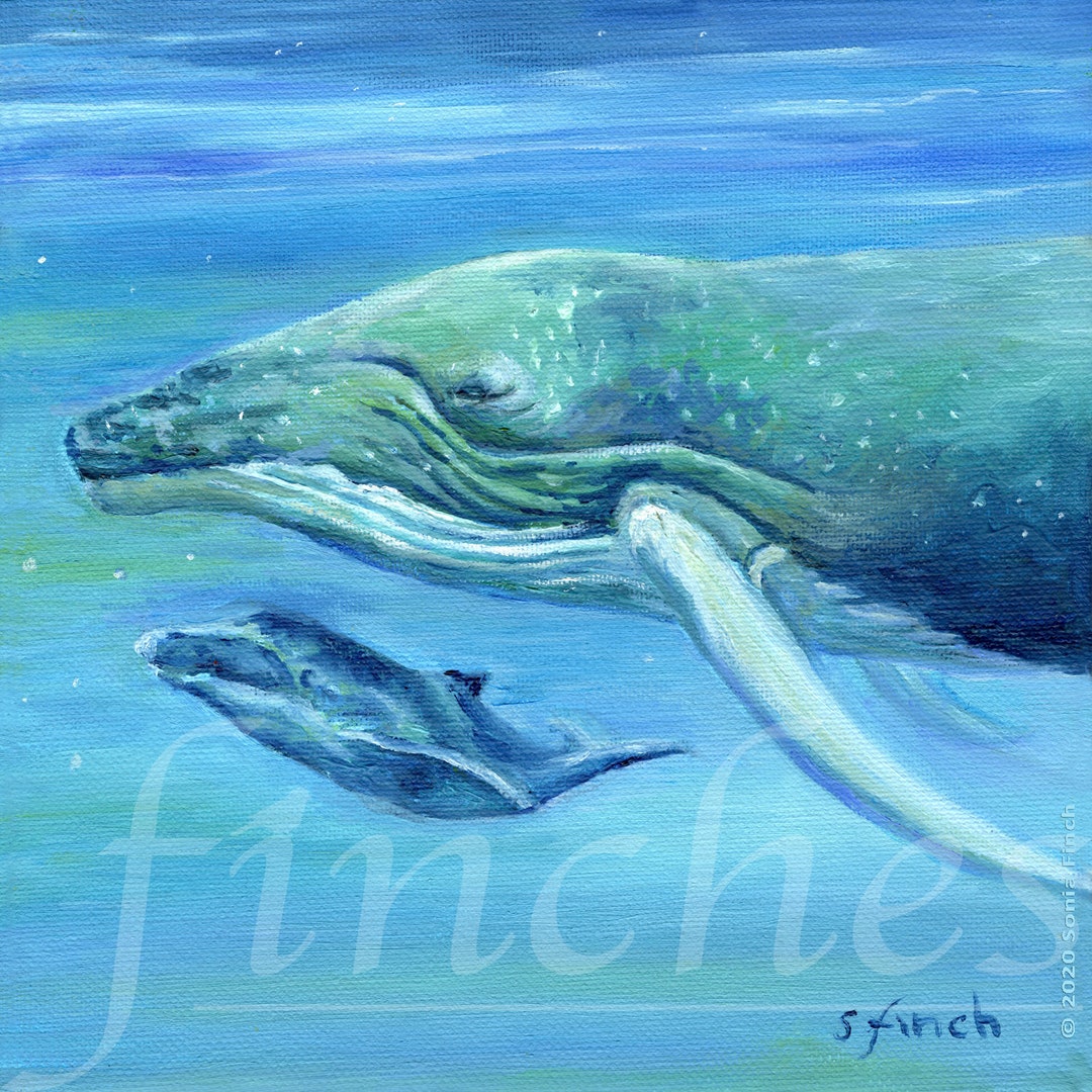 Spirit of Whale Art Prints. Humpback Whale Print. Aquatic Art Gift for ...