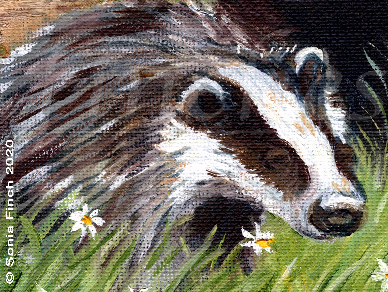 Badger (greeting/thank You Card) Male Birthday Card. Woodland Animal ...
