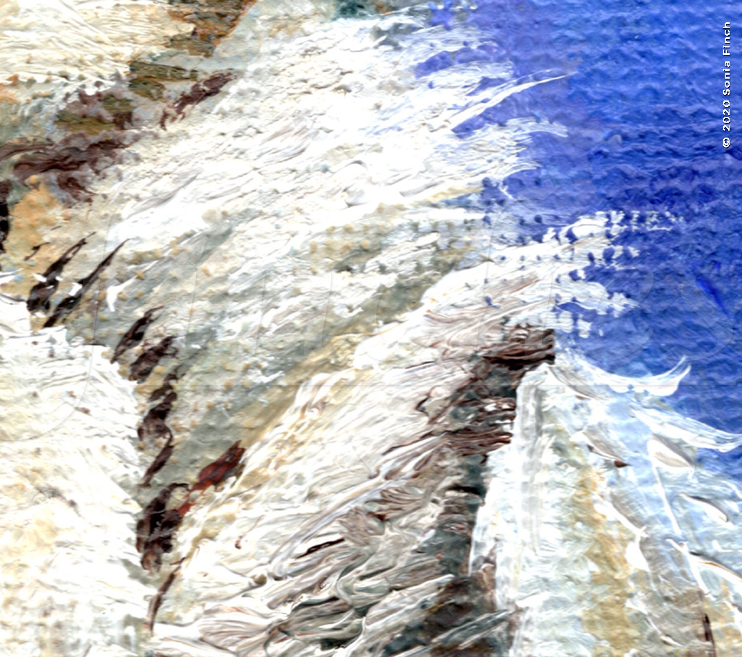 Elf Moth Rider limited Edition Giclee Print Starry Night Elf - Etsy