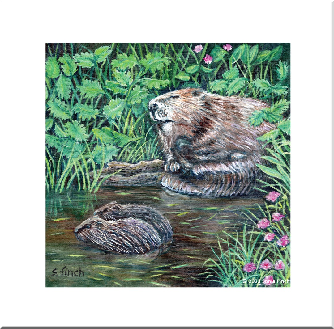 Spirit of Beaver. Thank You Card or Father's Day Card With Nature ...