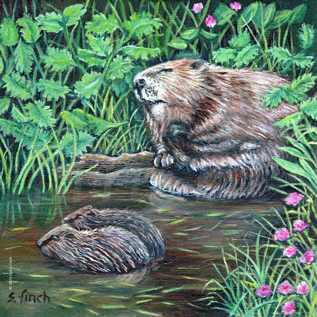 Spirit of Beaver. Cute Beaver Print. Beaver Painting for Parents ...