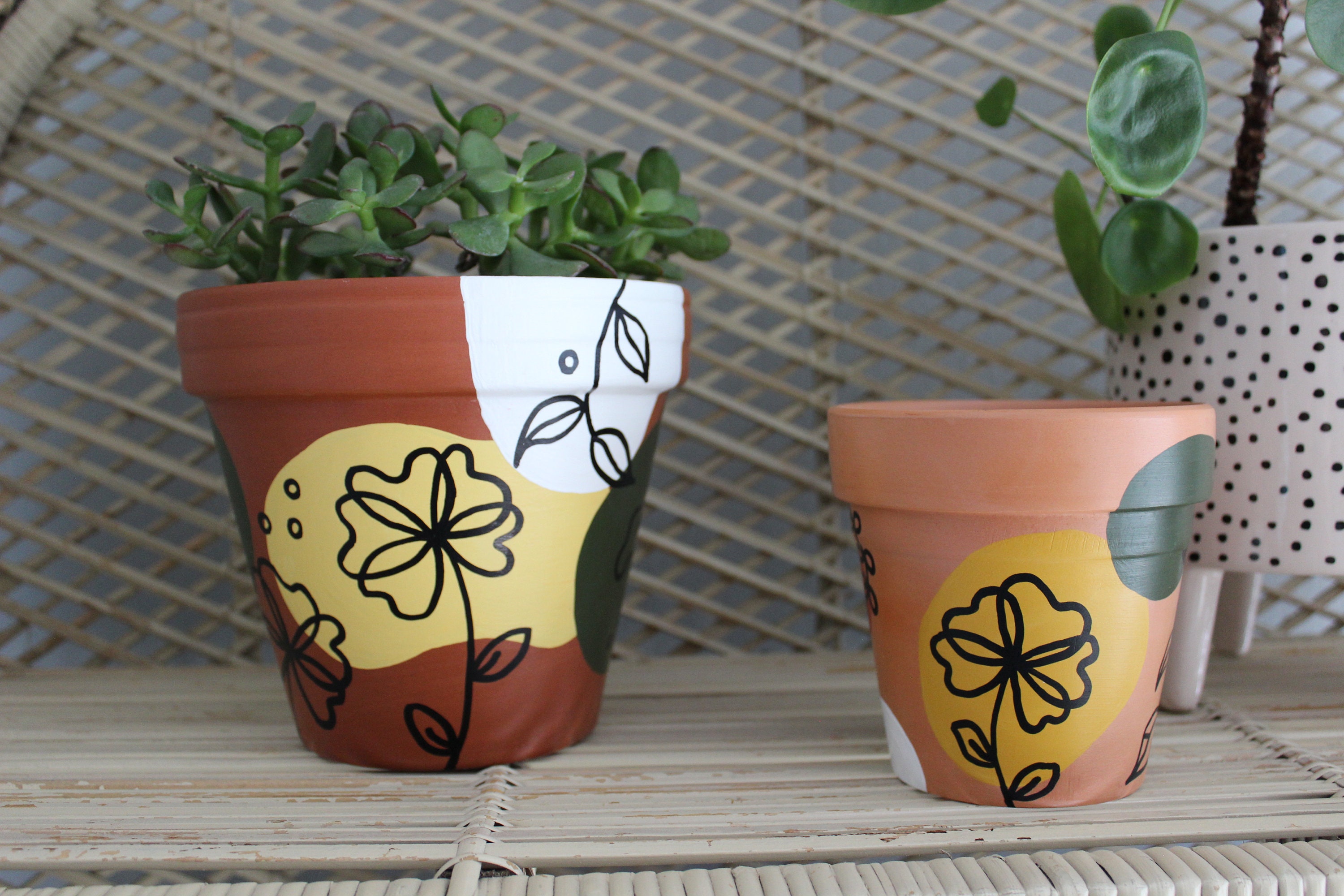 Hand-painted Decorative Flower Pots Abstract Botanical Line Art Potters ...
