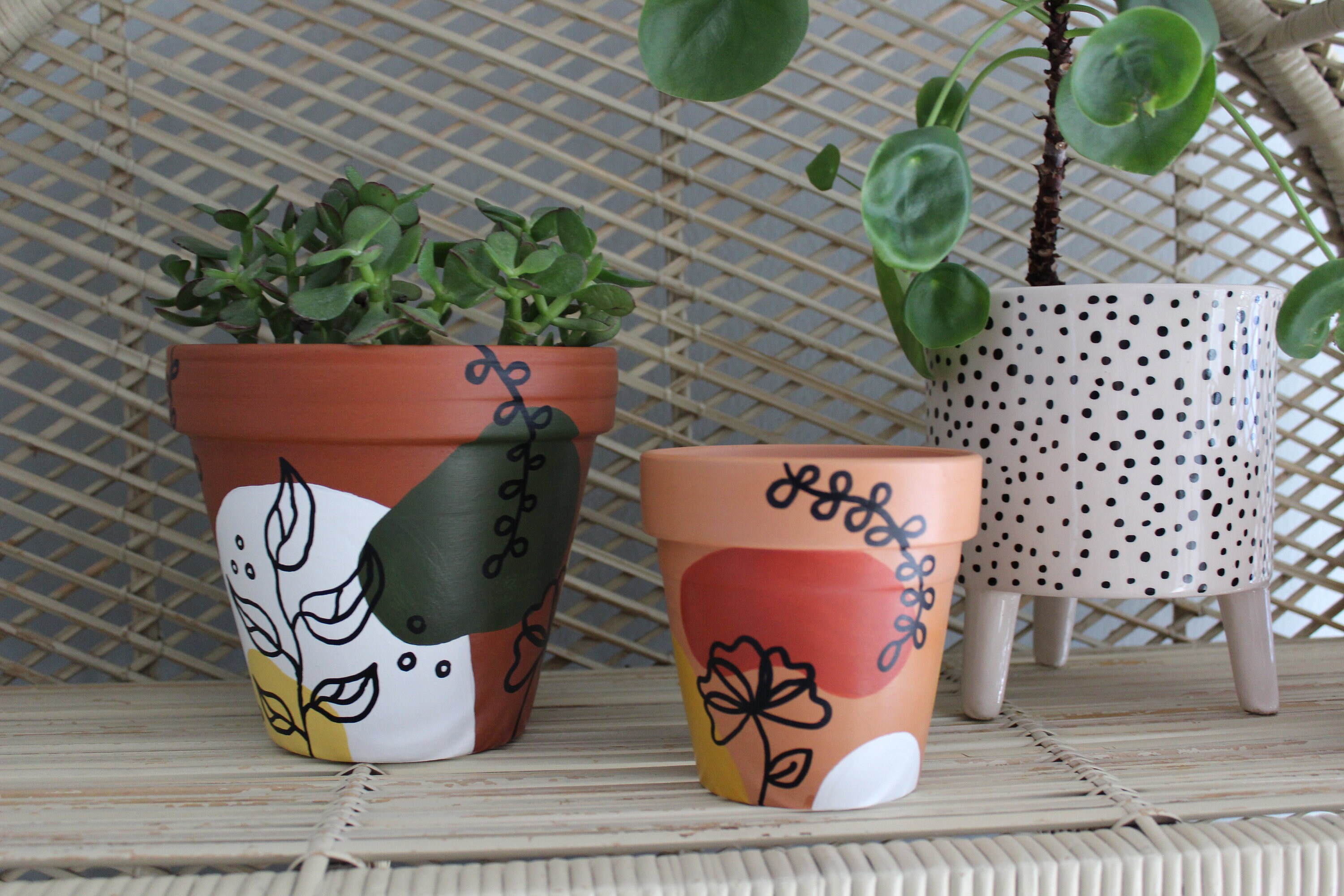 Hand-painted Decorative Flower Pots Abstract Botanical Line Art Potters ...