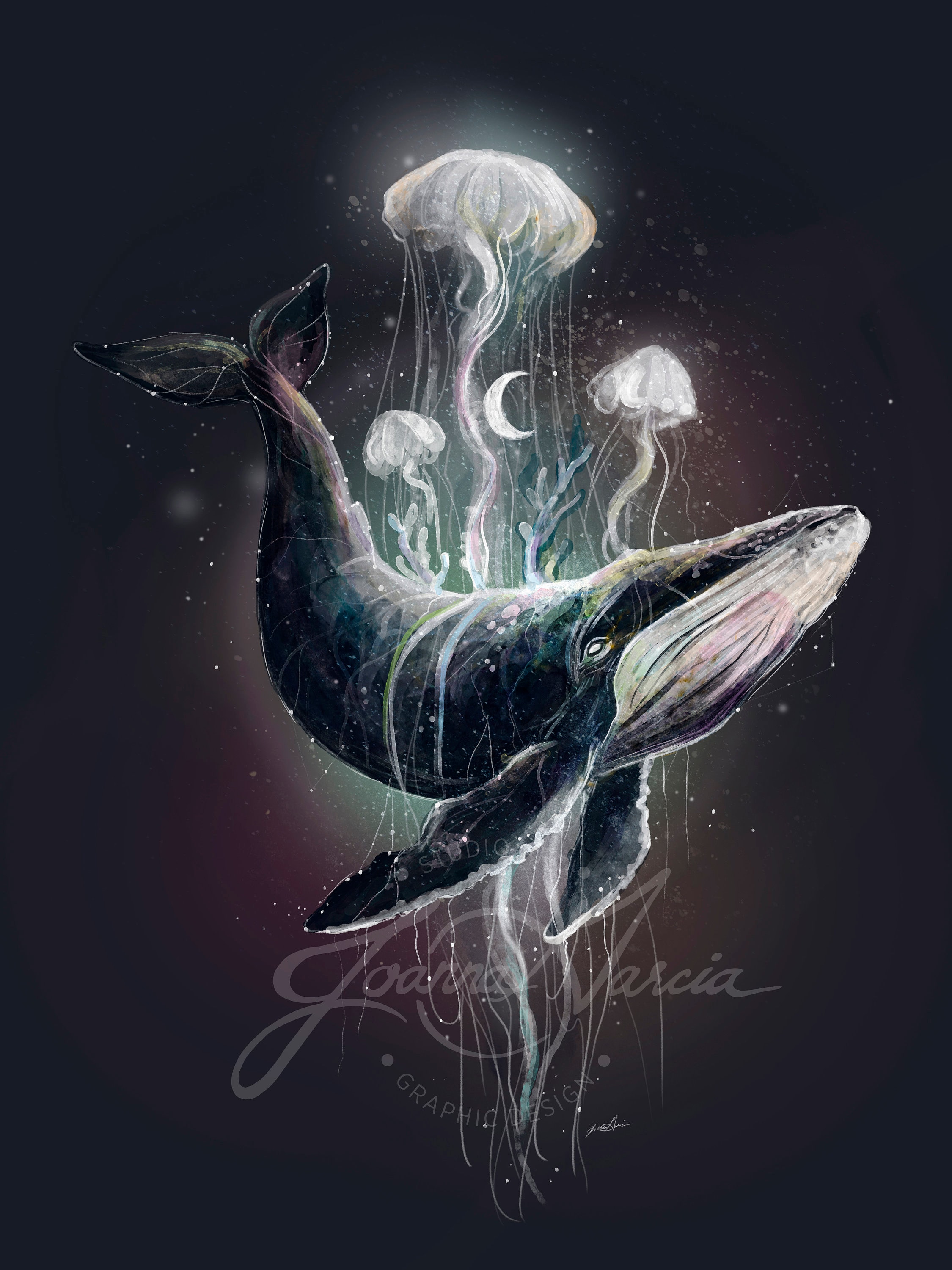 Whale Illustration