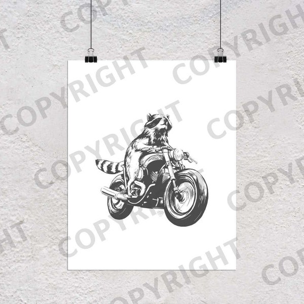 Raccoon on a Motorcycle - Etsy
