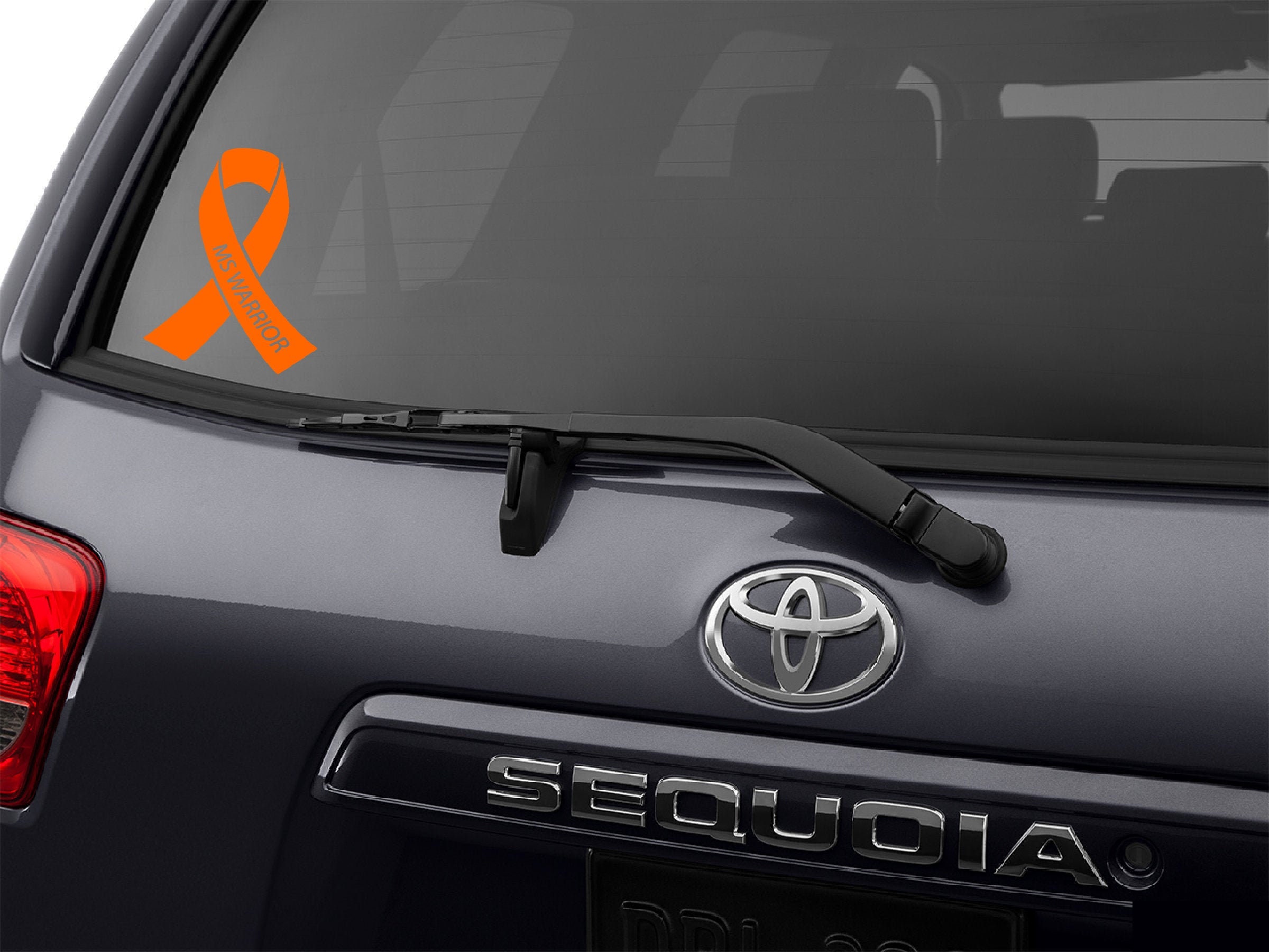 MS Decals MS Stickers MS Awareness Multiple Sclerosis - Etsy