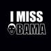 Liberal Decals, Liberal Gift, Political Decals, Liberal Stickers, Obama ...