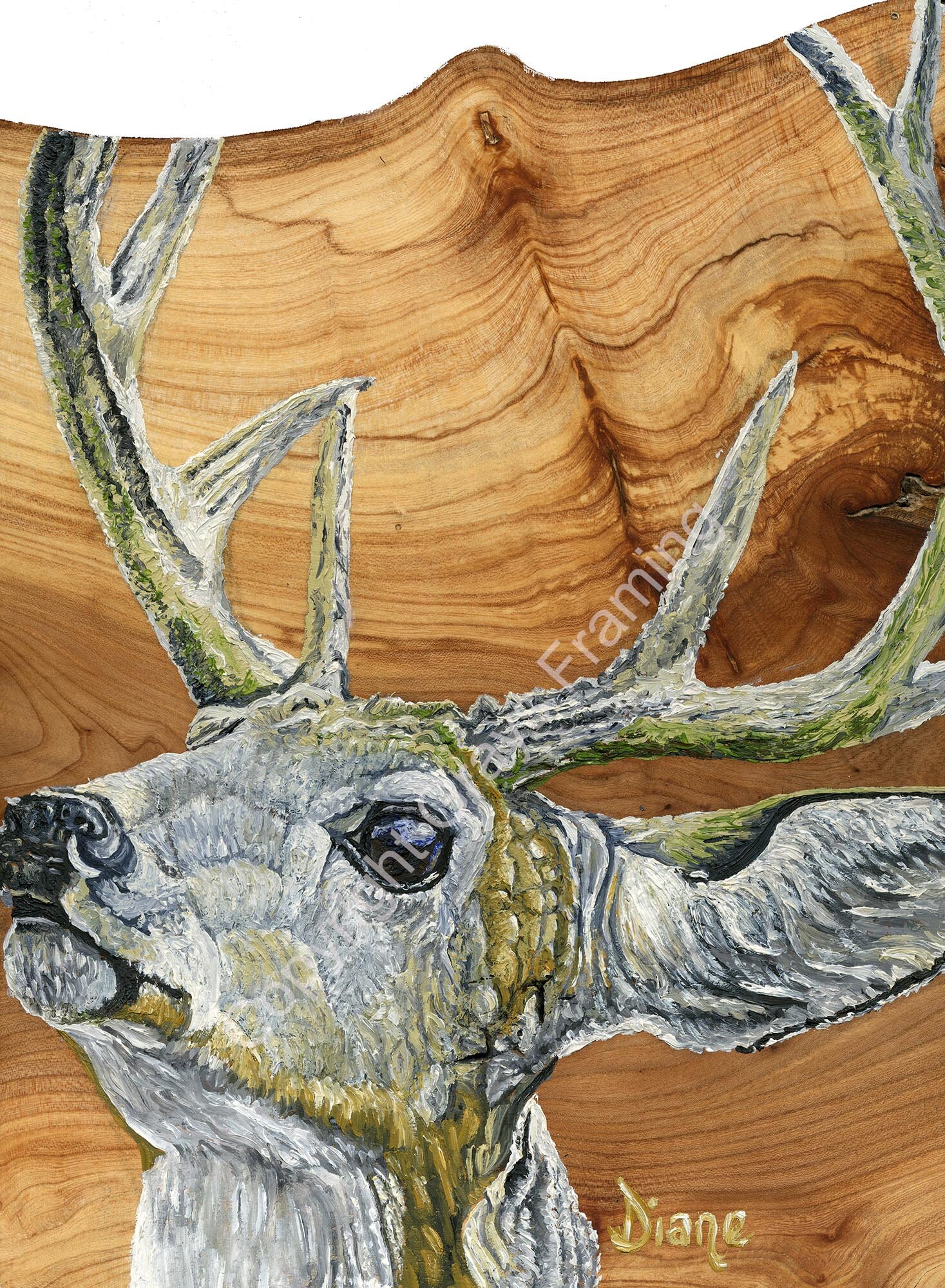 Blaine by Diane Patterson FREE UK Postage - Etsy UK