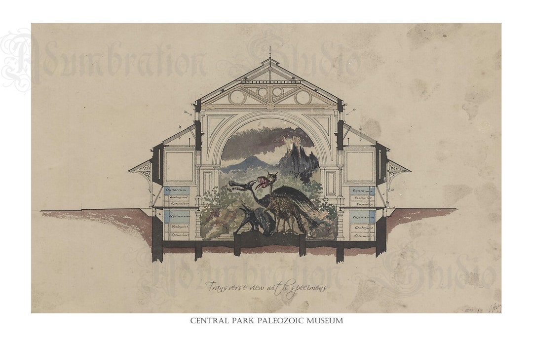 Central Park Paleozoic Museum, Transverse View With Specimens, Earth ...