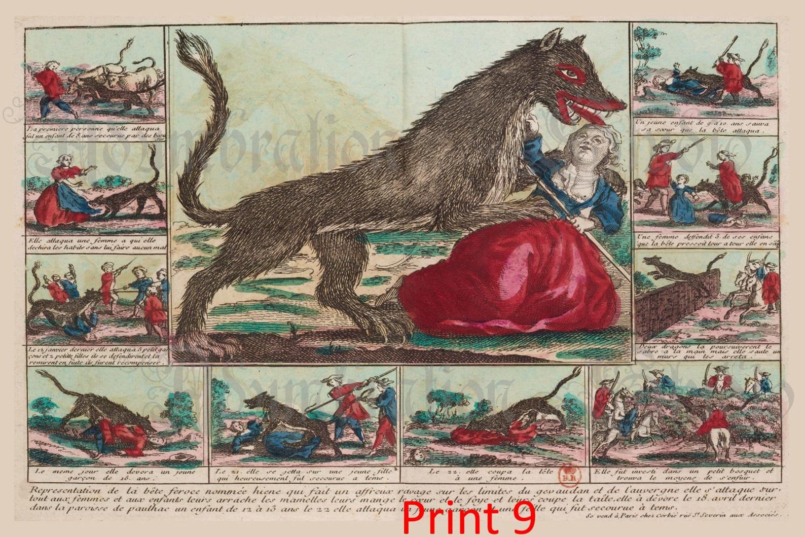The Beast Folio Set, Gift Set of 10 Prints, Real Life Werewolf, Buy Buy ...