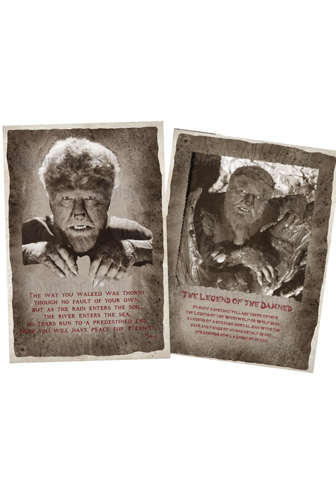 The Wolf Man Parchment Prints Set of Two, but 1 or Both, Maleva Quote ...