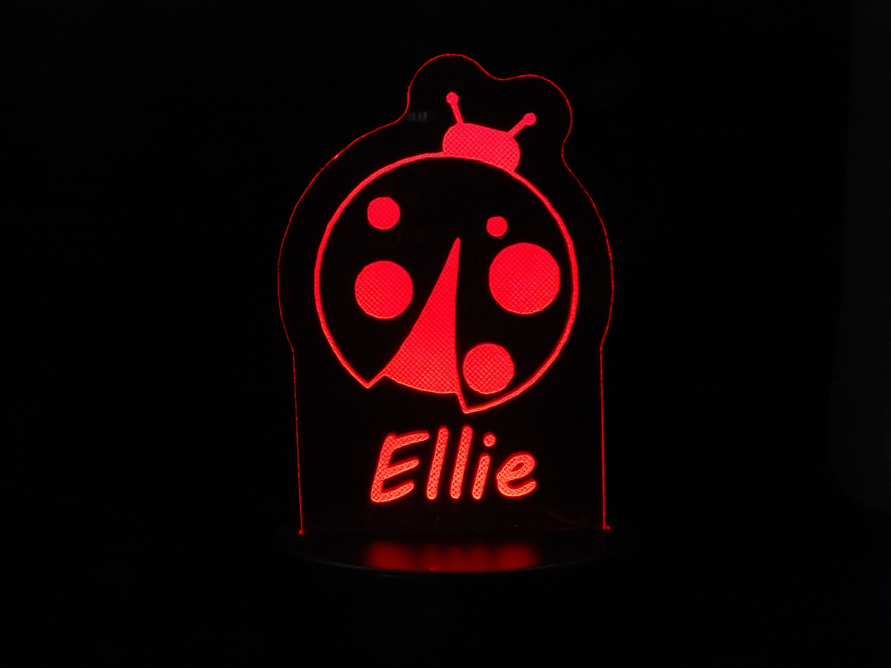 Personalized Ladybug Acrylic LED Light With Your Name on It! Use as a ...