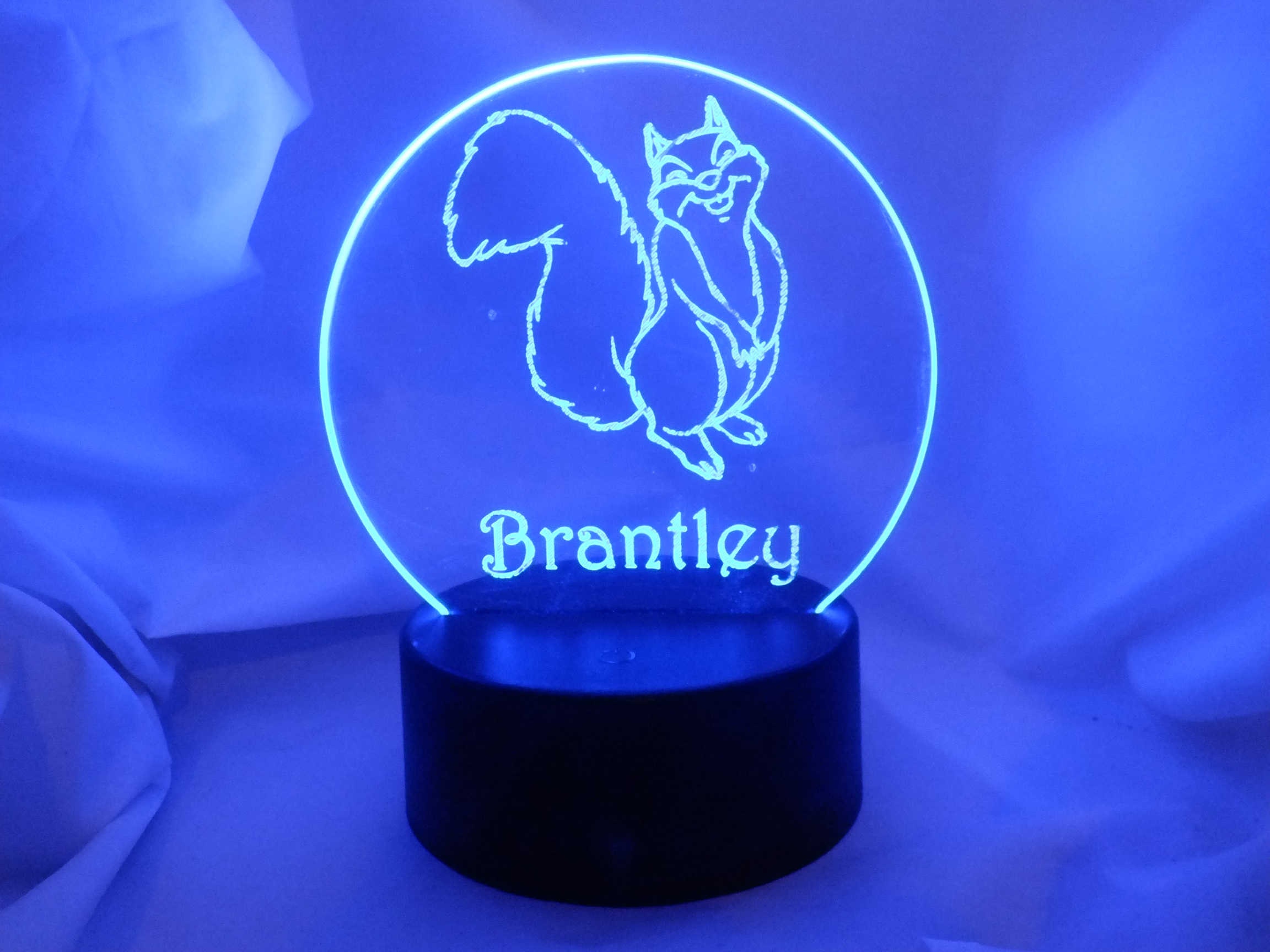 Personalized Squirrel acrylic LED light with your name on it | Etsy