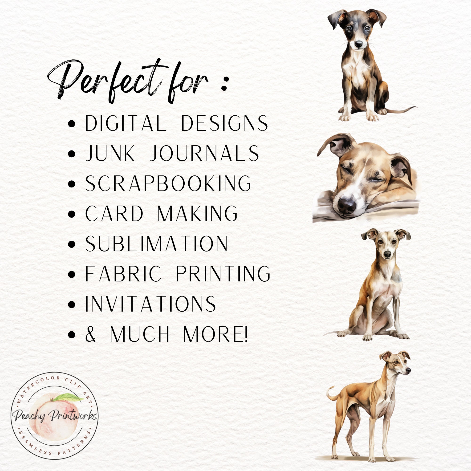 Whippet Watercolor Clipart | Dog SVG | Puppy PNG | Mans Best Friend ...