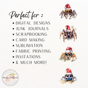 Spider Watercolor Clipart Bundle Cute Bug PNG Christmas Halloween SVG ...