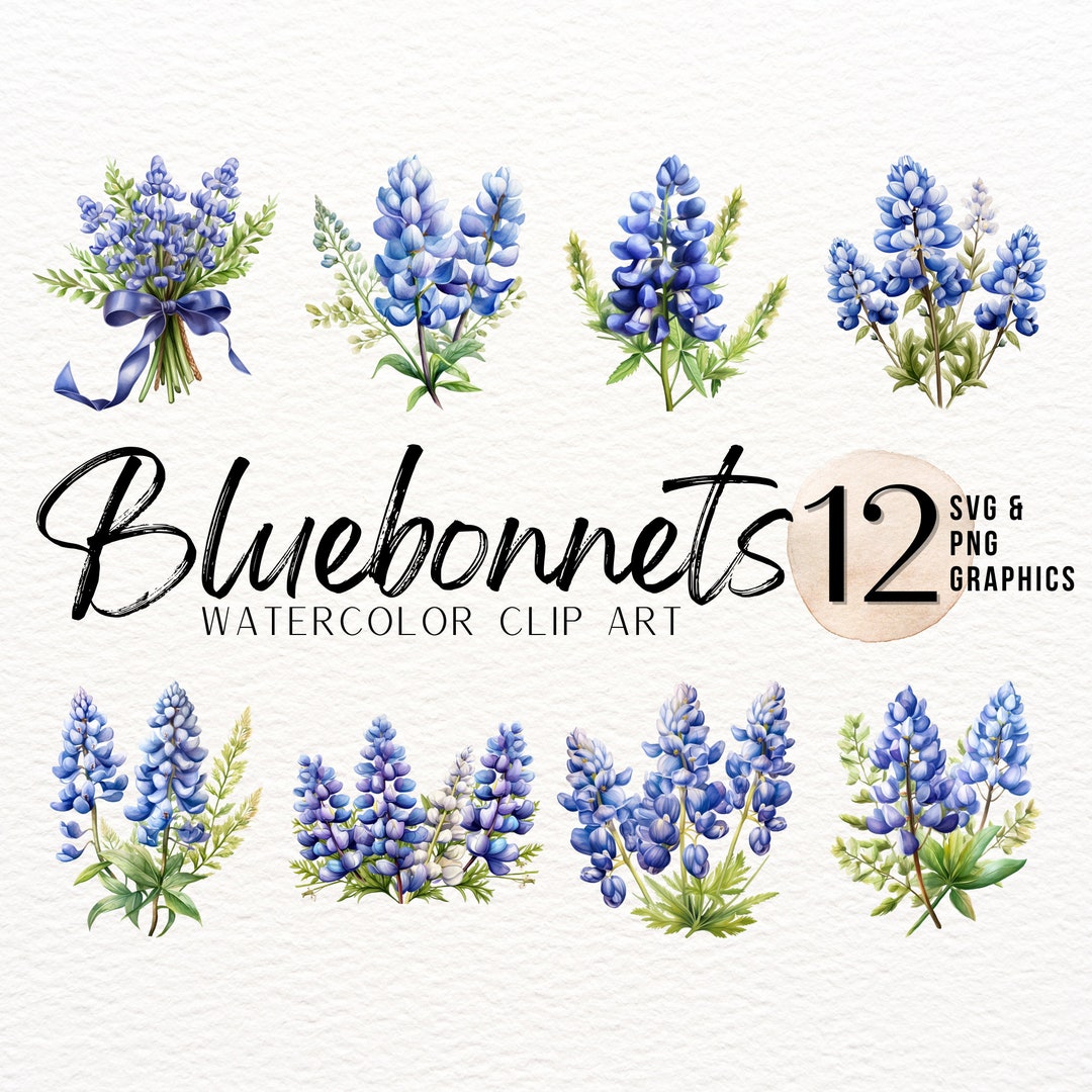 Texas Bluebonnet Watercolor Clipart Bundle | Floral PNG Graphic ...