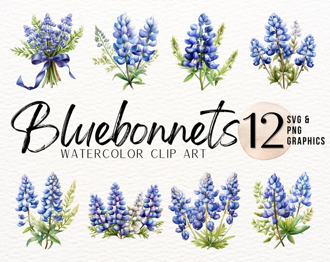 Texas Bluebonnet Watercolor Clipart Bundle | Floral PNG Graphic ...