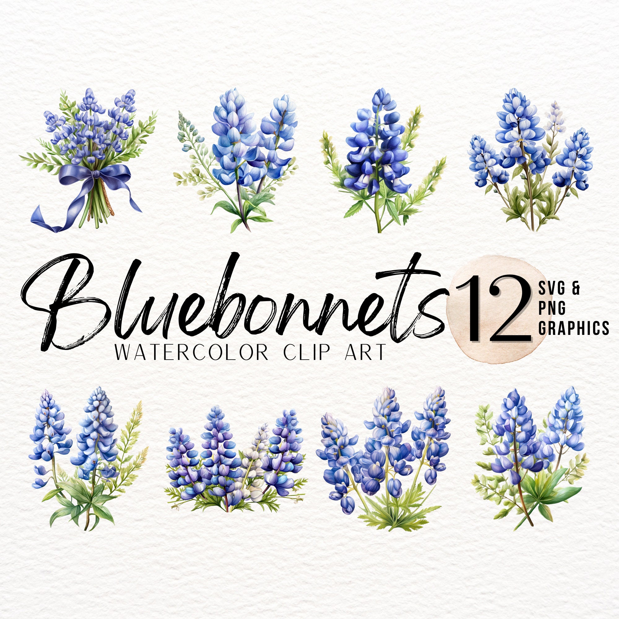 Texas Bluebonnet Watercolor Clipart Bundle Floral PNG Graphic ...