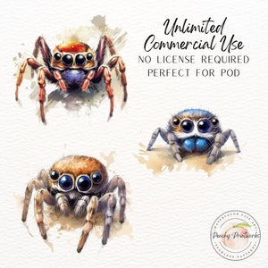 Spider Watercolor Clipart Bundle | Cute Bug PNG | Happy Halloween SVG ...