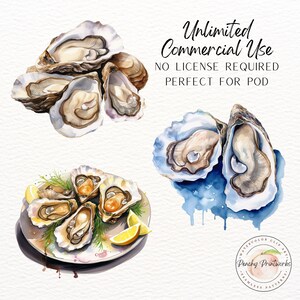 Oysters Watercolor Clipart Bundle | Seafood Digital Download | Food ...