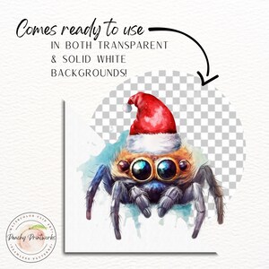 Spider Watercolor Clipart Bundle | Cute Bug PNG | Christmas Halloween ...