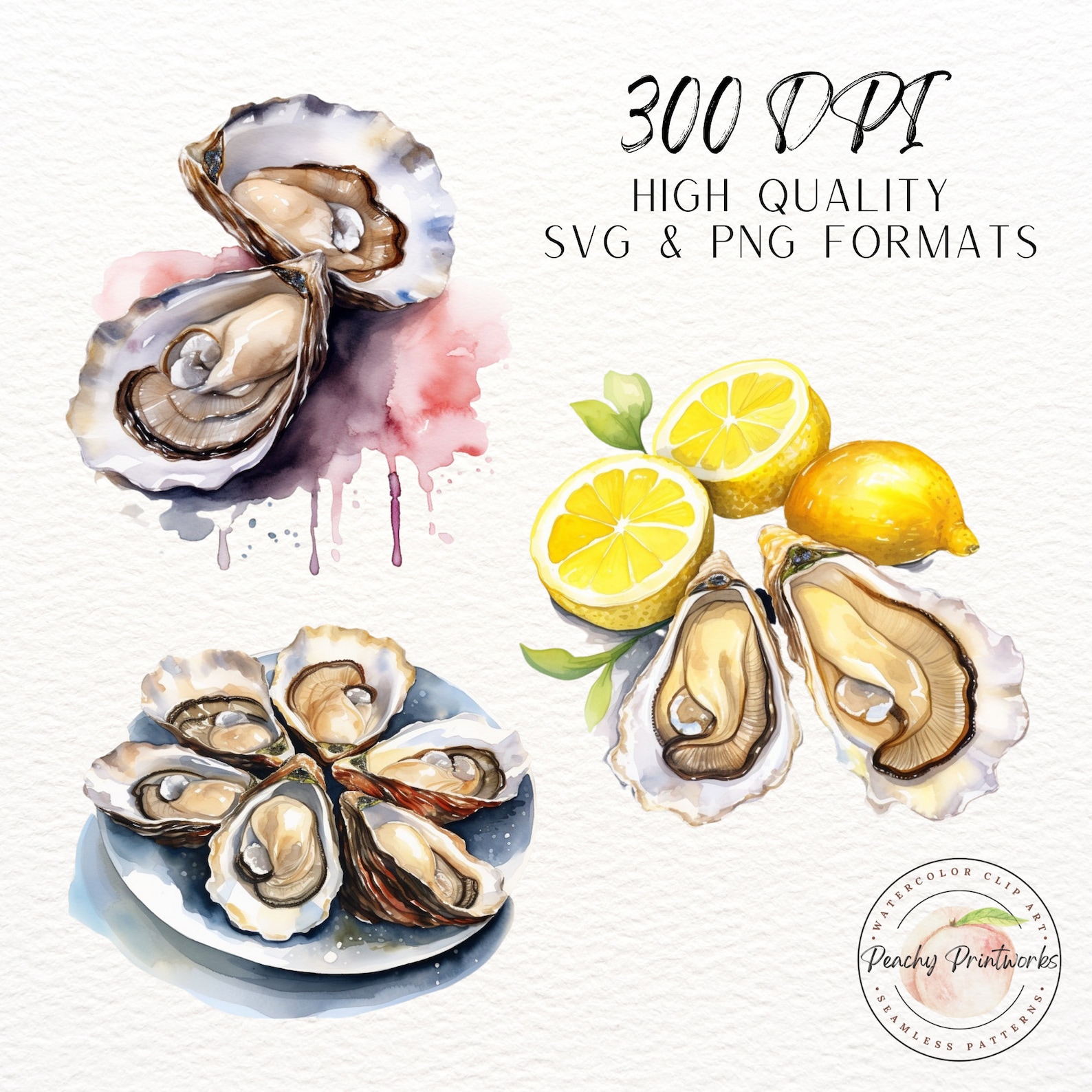 Oysters Watercolor Clipart Bundle | Seafood Digital Download | Food ...