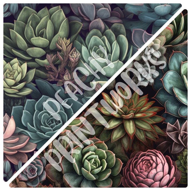 SUCCULENTS : Printable Pattern Seamless Design Background - Etsy