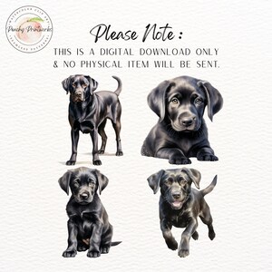 Black Lab Watercolor Clipart | Dog SVG | Puppy PNG | Mans Best Friend ...