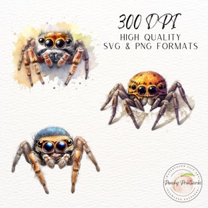 Spider Watercolor Clipart Bundle | Cute Bug PNG | Happy Halloween SVG ...