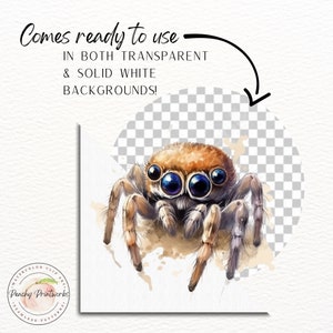 Spider Watercolor Clipart Bundle | Cute Bug PNG | Happy Halloween SVG ...