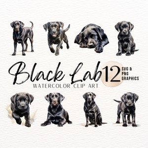 Black Lab Watercolor Clipart | Dog SVG | Puppy PNG | Mans Best Friend ...